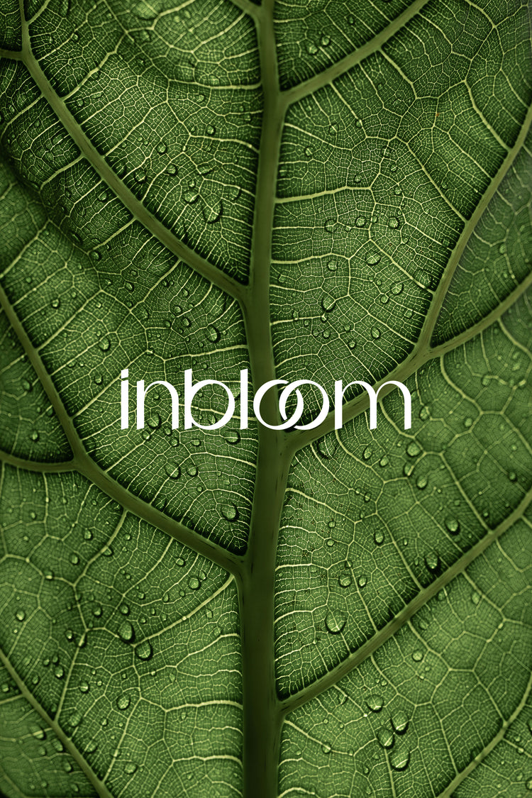 Catalog – InBloom Garden